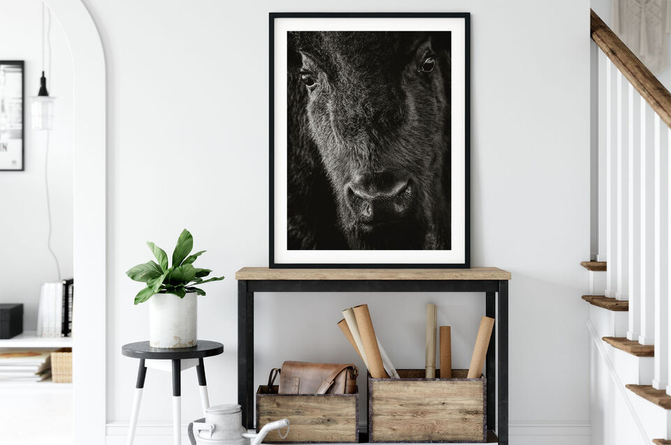 What are Giclee prints? | Mike Wardynski Photography