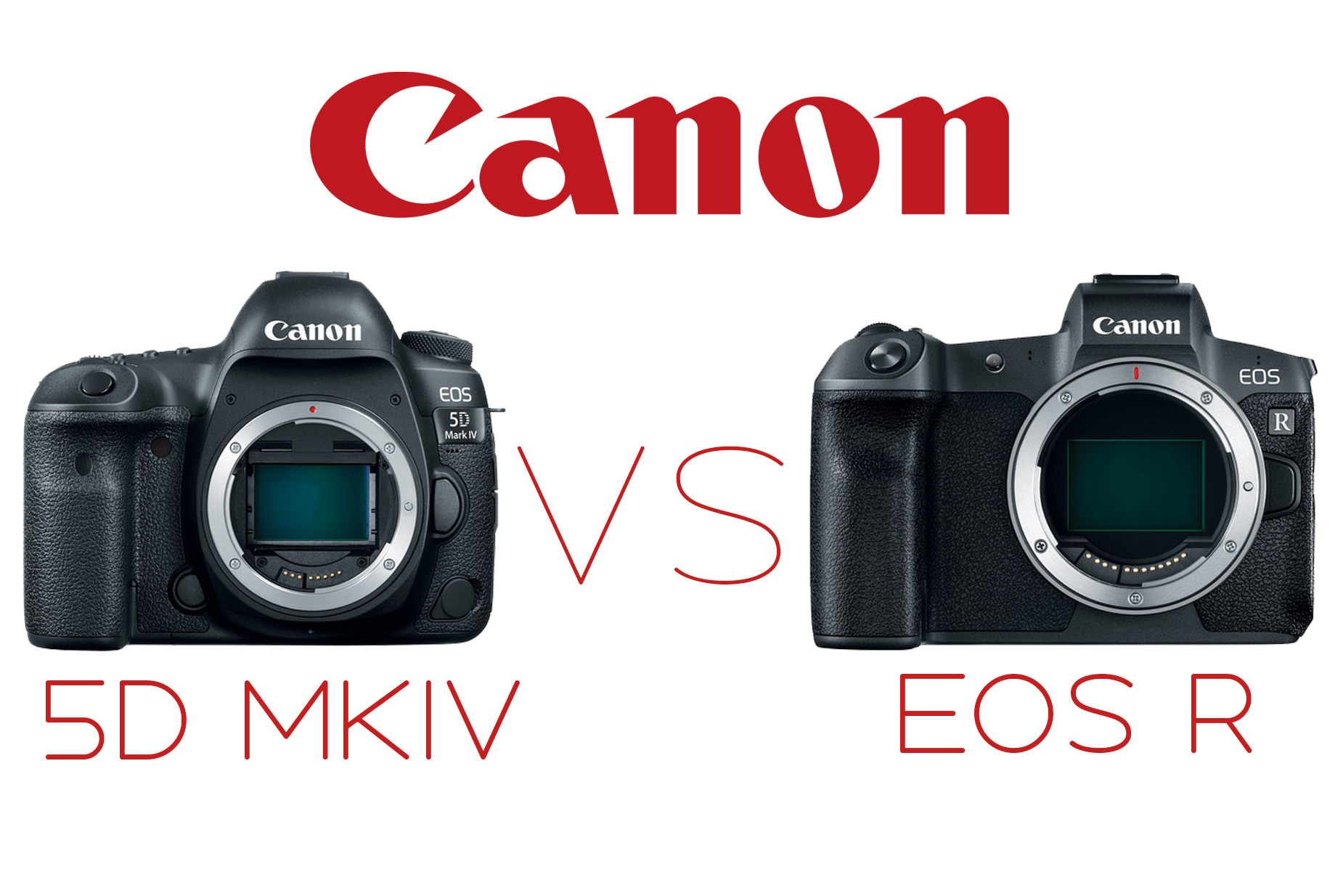 Canon 5d IV Vs EOS R Mike Wardynski Photography Canon 5d IV Vs EOS R Mike Wardynski Photography