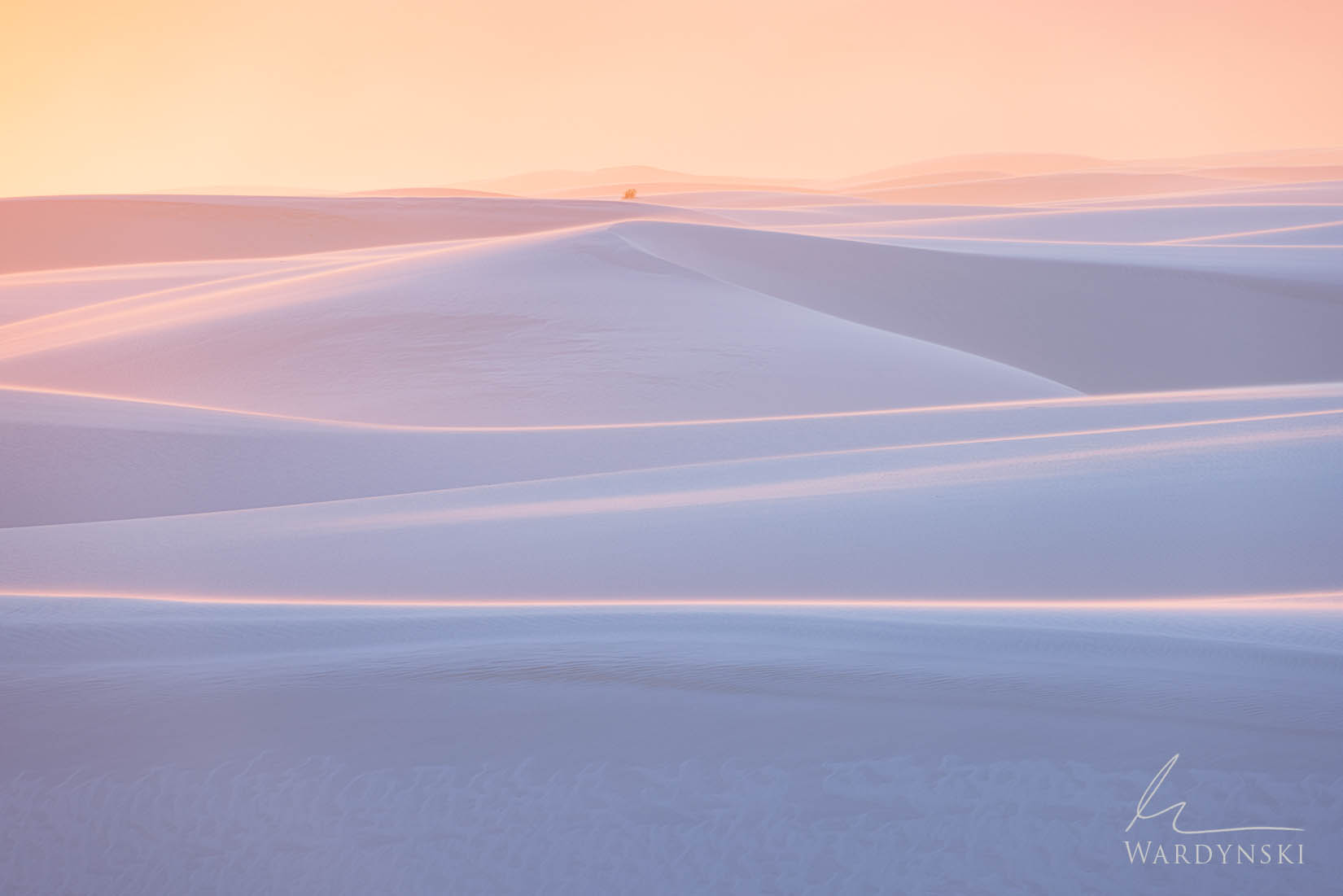 White Sands Photography Tips - A Complete Guide | Mike Wardynski ...