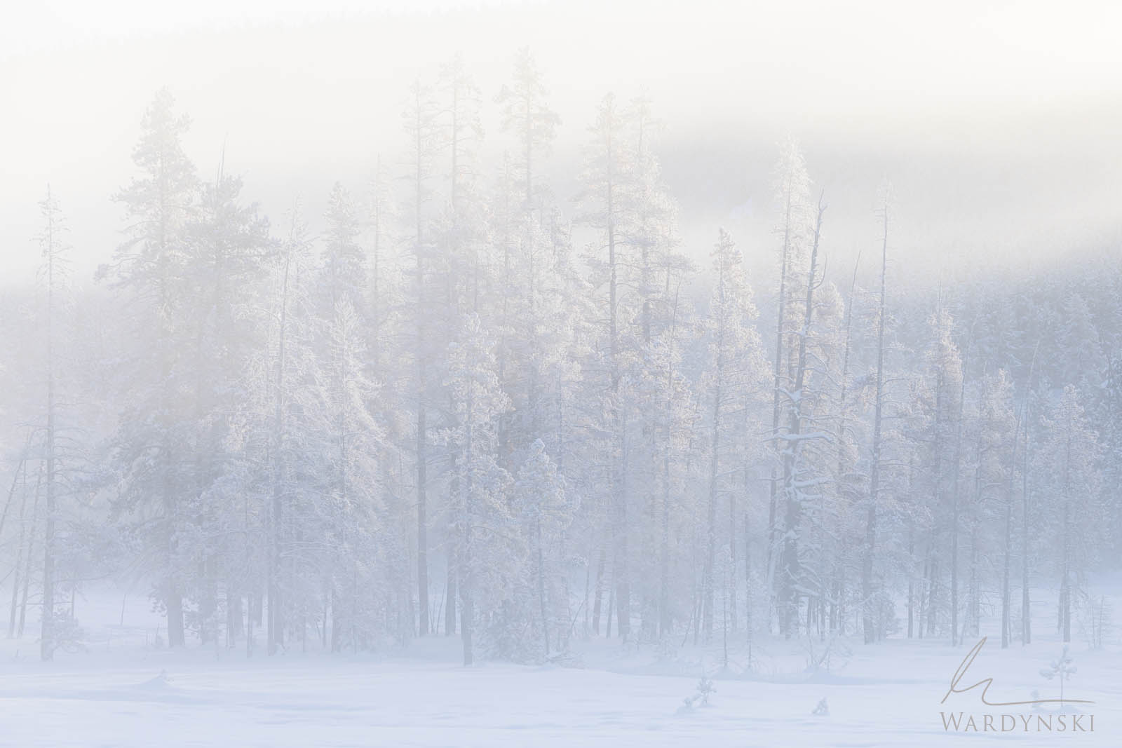 Winter Photography Tips | Mike Wardynski Photography