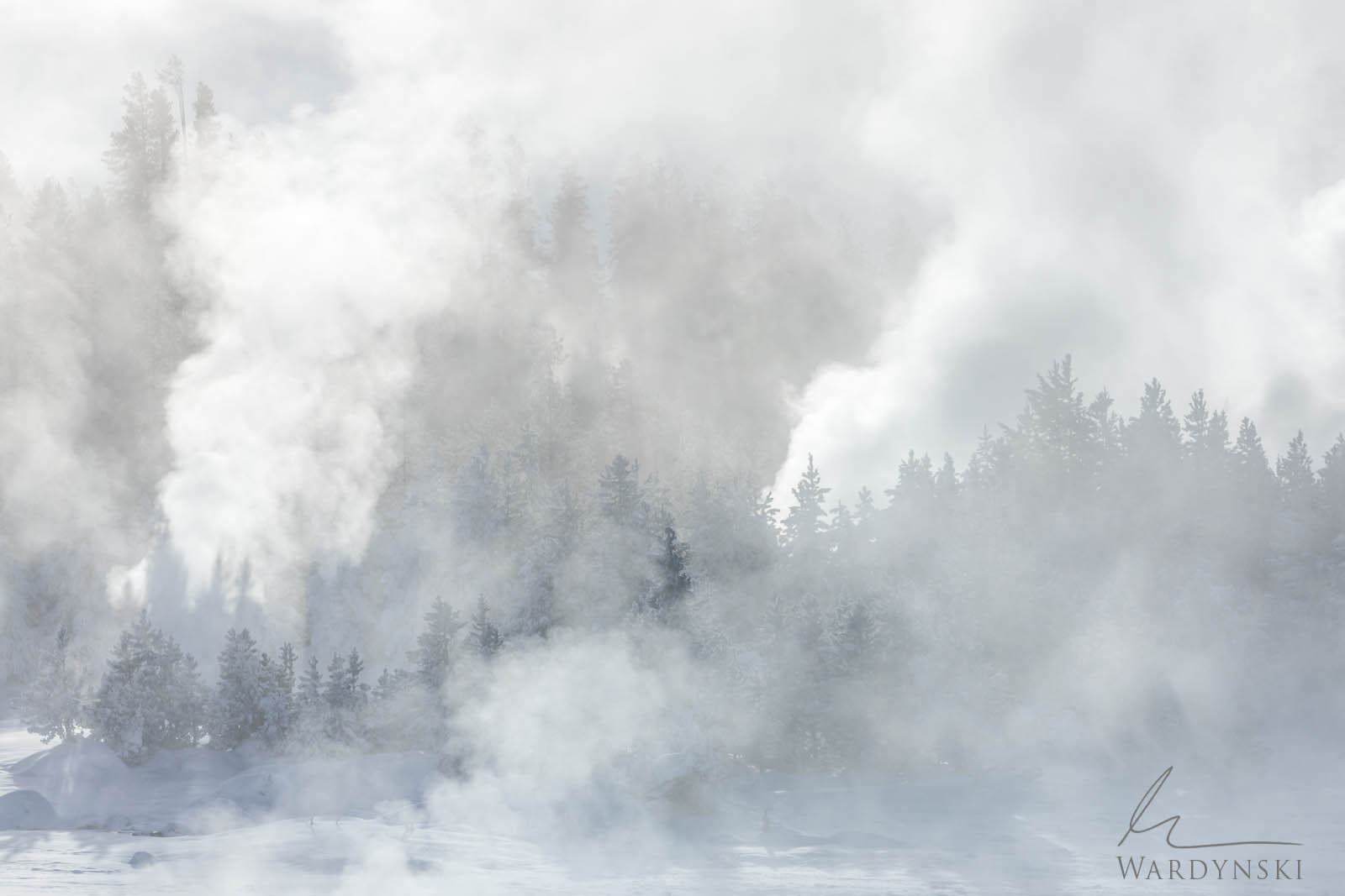 Winter Photography Tips | Mike Wardynski Photography